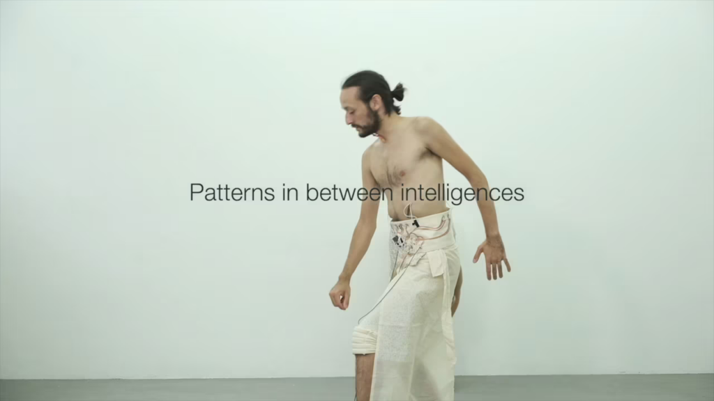 Collaboration: Patterns In Between Intelligences – Alpaca